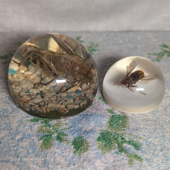Vintage | Art | Vintage Grasshopper Bee Paperweight Set | Poshmark